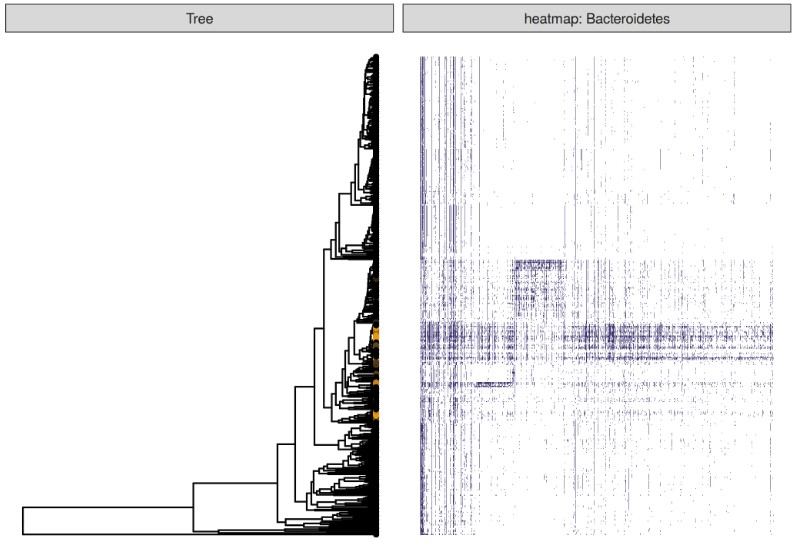 phylogenize | Bradley Lab